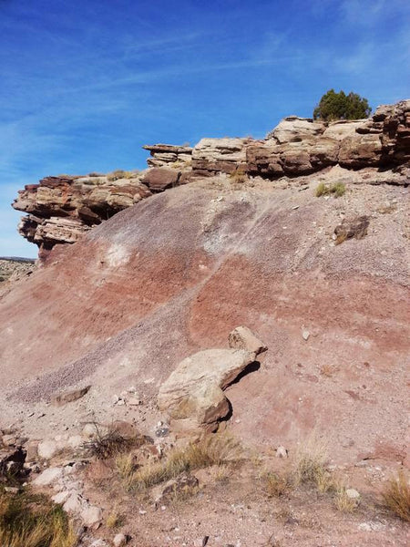 Morrison Bulky Yarn, Colorado-Grown Wool, 3.5 oz skein – Dyers Wool